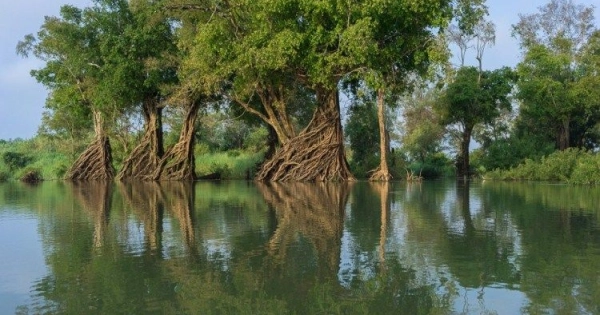 Stung Treng - Guide de voyage à Stung Treng - Attractions à Stung Treng